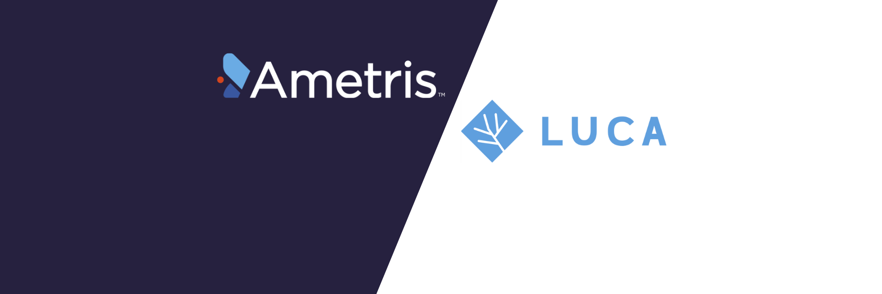 Ametris and Luca Healthcare Announce Strategic Partnership to Accelerate Digital Health ...